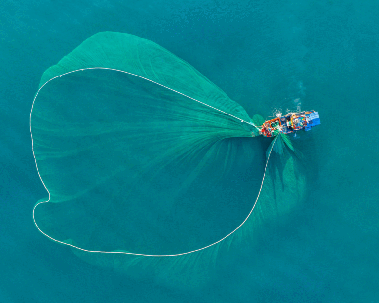 Ocean University of Sri Lanka – The Ocean University of Sri Lanka is a ...